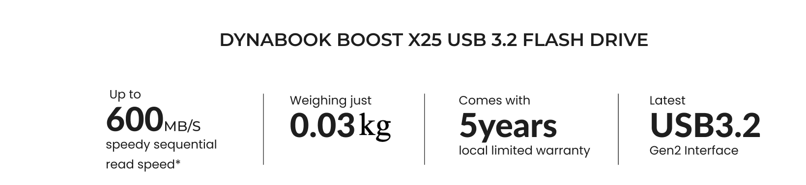 Dynabook Boost X25 USB 3.2 Flash Drive - Dynabook